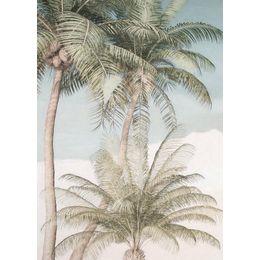 Komar Vliestapete "Digitaldruck Vlies - Palm Oasis - Gr&ouml;&szlig;e 200 x 280 cm", B/L: 200mm x 280mm, Rollen:, bunt, Tapeten, Wohnzimmer, Schlafzimmer