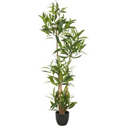 Kunstbaum Creativ green, H:150cm, gr&uuml;n, Kunststoff, Wohnzimmer, Kunstpflanzen, "Ficus maclellandii", mit echtem Holzstamm