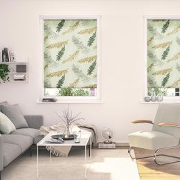 Seitenzugrollo, B:60cm H:150cm, gr&uuml;n, LICHTBLICK ORIGINAL, Polyester, Rollos, "Rollo Klemmfix, ohne Bohren, blickdicht, Fir Branches - Gr&uuml;n"