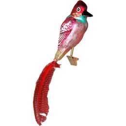 Weihnachtsbaumklammer "Eisvogel, Weihnachtsdeko, Christbaumschmuck", B:11cm H:18,5cm T:12cm, bunt, KREBS GLAS LAUSCHA, Weihnachtsbaumschmuck,