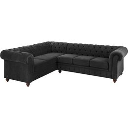 Chesterfield-Sofa Home Affaire, B:255cm H:74cm T:214cm, grau, Samtoptik (100% Polyester);Samtoptik (100% Polyester);Luxus-Microfaser Lederoptik (100%