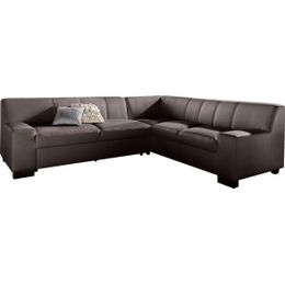 Ecksofa DOMO collection, B:247cm H:77cm T:212cm, braun, Wohnzimmer, Sofas, "Norma Top, elegant und modern, flache Armlehnen, L-Form", wahlweise mit