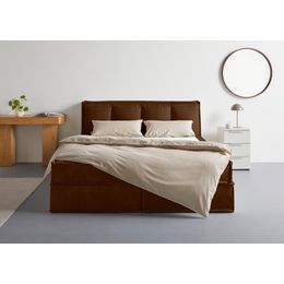 Boxspringbett, B:170cm L:230cm, braun, LeGer Home by Lena Gercke, 88% Polyester, 12% Polyamid, Komplettbetten, "Addyson", Boxspringbett inkl. Topper,