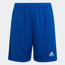 Jungen Trainingsshorts "ENT22 SHO Y", blau, Gr. 176, adidas Performance, Obermaterial: 100% Polyester, Hosen