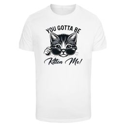 F4NT4STIC Herren T-Shirt "K&auml;tzchen You Gotta Be Kitten Me", wei&szlig;, Gr. XXL, Obermaterial: 100% Baumwolle, Shirts, Premium Qualit&auml;t