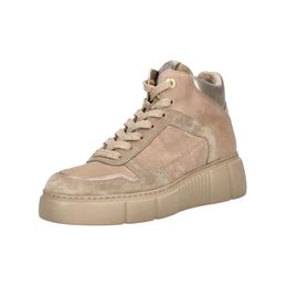 Paul Green Damen Sneaker "Paul Green Sneaker Veloursleder", Gr. 40,5, beige, Veloursleder, Schuhe