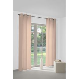 Vorhang WIRTH, B:135cm H:225cm, beige, Jacquard, Baumwolle, Wohnzimmer, Gardinen, "Neveres"