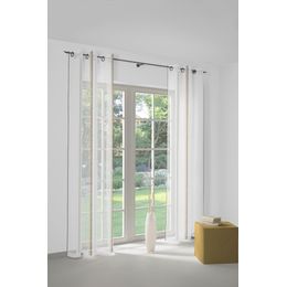 Vorhang WIRTH, B:140cm H:245cm, braun, Polyester, Wohnzimmer, Gardinen, "Chlo&eacute;", Store