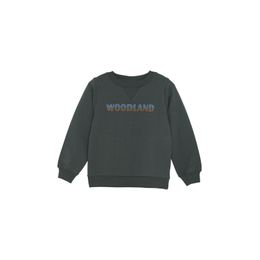 EN FANT Jungen Sweatshirt "Rundhalspullover ENSweatshirt", gr&uuml;n, Gr. 110, Obermaterial: 95% Baumwolle CO. 5% Elasthan EL., Pullover