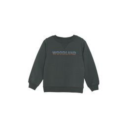EN FANT Jungen Sweatshirt "Rundhalspullover ENSweatshirt", gr&uuml;n, Gr. 122, Obermaterial: 95% Baumwolle CO. 5% Elasthan EL., Pullover