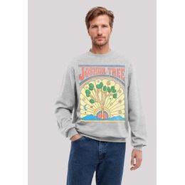 F4NT4STIC Herren Sweatshirt "US National Parks Joshua Tree", grau, Gr. XS, Obermaterial: 80% Baumwolle, 20% Polyester, Sweatshirts, Premium Qualit&auml;t