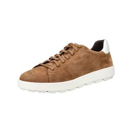 Geox Herren Sneaker "Geox Sneaker Veloursleder", Gr. 41, braun, Veloursleder, Schuhe