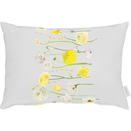 Dekokissen Apelt, B:45cm H:5cm L:45cm, grau, Baumwolle, Polyester, Dekokissen_Sitzkissen_Kissenh&uuml;llen, "6403", Kissenh&uuml;lle mit F&uuml;llung, 1 St&uuml;ck