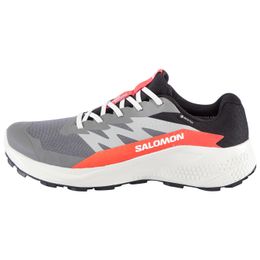 Salomon Herren Laufschuh "ALPHAGLIDE GORE-TEX", Gr. 42, grau, Synthetik, Textil, Schuhe, wasserdicht