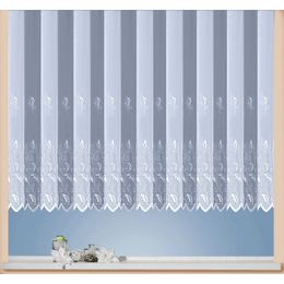 Weckbrodt-Gardinen Gardine WECKBRODT, B:300cm H:145cm, wei&szlig;, Voile, Polyester, Wohnzimmer, Gardinen, "Br&uuml;ssel", echte Stickerei, Voile, halbtransparent, Bord&uuml;re, Kante,