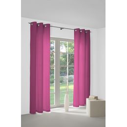 Vorhang WIRTH, B:145cm H:180cm, pink, Polyester, Wohnzimmer, Gardinen, "Dim out"