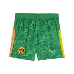 Puma Kinder Sporthose "Borussia Dortmund 25/26 Torwartshorts Jugendliche", orange, Gr. 176, bedruckt, Obermaterial: 100% Polyester, Hosen