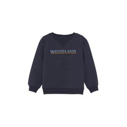 EN FANT Jungen Sweatshirt "Rundhalspullover ENSweatshirt", blau, Gr. 110, Obermaterial: 95% Baumwolle CO. 5% Elasthan EL., Pullover