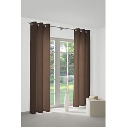 Vorhang WIRTH, B:135cm H:145cm, braun, Jacquard, Polyacryl, Polyester, Wohnzimmer, Gardinen, "NEUFAHRN"