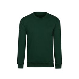 TRIGEMA Herren Sweatshirt "TRIGEMA Sweatshirt aus Biobaumwolle", gr&uuml;n, Basic, Gr. XL, 75% Baumwolle (Biobaumwolle kbA), 25% Baumwolle (recycelt),
