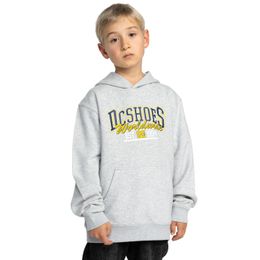 DC Shoes Jungen Hoodie "Tailgate Ph", grau, Gr. 12, 55% Baumwolle, 25% Baumwolle, 20% Polyester, Sweatshirts