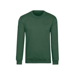 TRIGEMA Damen Sweatshirt "TRIGEMA Sweatshirt aus Biobaumwolle", gr&uuml;n, Basic, Gr. M, 75% Baumwolle (Biobaumwolle kbA), 25% Baumwolle (recycelt),