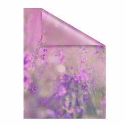Fensterfolie, B:50cm L:50cm, lila, LICHTBLICK ORIGINAL, PVC, Fensterfolien, "Blumenwiese"