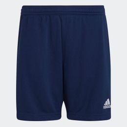 Jungen Trainingsshorts "ENT22 TR SHOY", blau, Gr. 128, adidas Performance, Obermaterial: 100% Polyester, Hosen