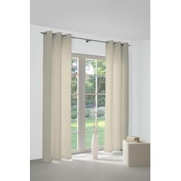 Vorhang WIRTH, B:132cm H:245cm, braun, Jacquard, Baumwolle, Polyester, Wohnzimmer, Gardinen, "Torbole"