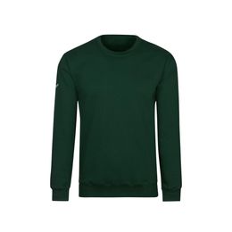 TRIGEMA Damen Sweatshirt "TRIGEMA Sweatshirt aus Biobaumwolle", gr&uuml;n, Basic, Gr. M, 75% Baumwolle (Biobaumwolle kbA), 25% Baumwolle (recycelt),