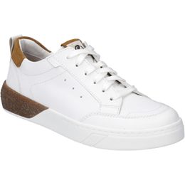 Josef Seibel Damen Sneaker "Wilma 03, weiss-braun", Gr. 36wei&szlig;, braun, Obermaterial: 100% Rindsleder Leather cow., Schuhe