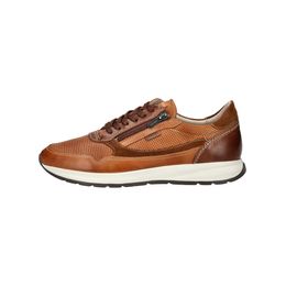Pikolinos Herren Sneaker "Pikolinos Sneaker Leder", Gr. 45, braun, Leder, Schuhe