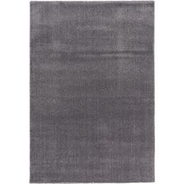 Teppich Astra, B:160cm H:20mm L:230cm, silber, Kunstfaser, Wohnzimmer, Teppiche, "Savona 180", Wohnzimmer