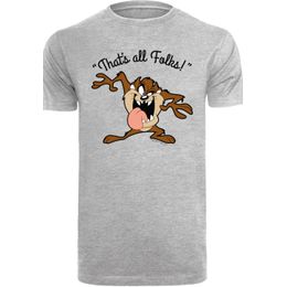 F4NT4STIC Damen T-Shirt "Looney Tunes Taz That's All Folks", grau, Gr. L, Obermaterial: 100% Baumwolle, Shirts, Print
