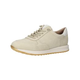 Paul Green Damen Sneaker "Paul Green Sneaker Nubukleder", Gr. 40,5, beige, Nubukleder, Schuhe