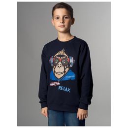 TRIGEMA Jungen Sweatshirt "TRIGEMA Sweatshirt mit lässigem Affen-Druckmotiv", blau, Gr. 116, 70% Baumwolle, 30% Polyester, Sweatshirts