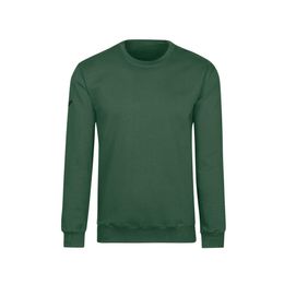 TRIGEMA Herren Sweatshirt "TRIGEMA Sweatshirt aus Biobaumwolle", gr&uuml;n, Basic, Gr. M, 75% Baumwolle (Biobaumwolle kbA), 25% Baumwolle (recycelt),