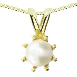 OSTSEE-SCHMUCK Damen Kette mit Anh&auml;nger "OSTSEE-SCHMUCK Kette mit Anh&auml;nger Ilke Kette mit Anh&auml;nger Ilke", 45cm, Gelbgold 333, L: 42, gold, Gelbgold