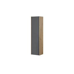Wohnwert H&auml;ngeschrank Arca grau Ma&szlig;e (cm): B: 43 H: 165 T: 34.0 &raquo; M&ouml;bel Kraft