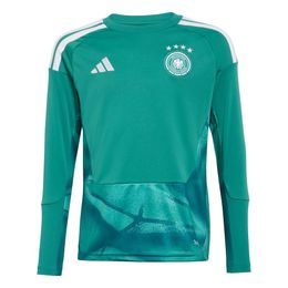 adidas Performance Performance Shirt 'DFB H GK JSY' boy Green size 164
