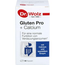 Dr. Wolz Zell GmbH Gluten Pro+Calcium Kapseln 60 St