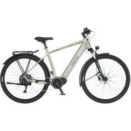 FISCHER BIKE Fischer Fahrrad Damen FISCHER Fahrrad &raquo;TERRA 4.0i 55&laquo; 10 Gang Shimano Deore Schaltwerk Kettenschaltung Mittelmotor 250 W mit Fahrradschloss, Pedelec, 
