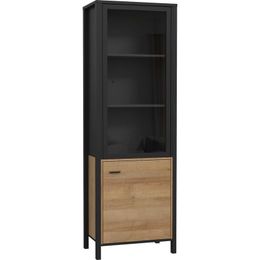 FORTE Vitrine &raquo;High Rock&laquo; H&ouml;he ca. 193 cm Schwarz Schwarz/ Riviera Eiche 1 Glast&uuml;re