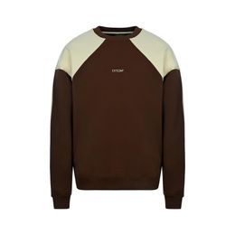 Esteem Sweatshirt ' Two Tone Oversized ' male Brown size XL