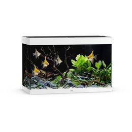 JUWEL Rio 290 LED Aquarium Wei&szlig;