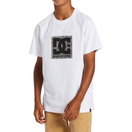 DC Shoes T-Shirt »DC Square Star Fill« White/Greystone 16(165-172cm) 16(165-172cm) Stoff: Jersey-Stoff aus Baumwolle [200 g/m2]