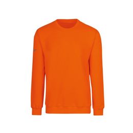 TRIGEMA Sweatshirt &raquo;Sweatshirt aus Biobaumwolle&laquo; mandarine-C2C S S BIO Sweat-Qualit&auml;t