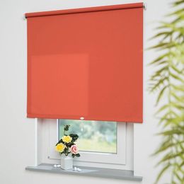 Liedeco Springrollo &raquo;Uni&laquo; Lichtschutz mit Bohren freih&auml;ngend Rollowelle 36 mm, starke Feder terrakotta + Bitte ausw&auml;hlen Obermaterial: 95%...