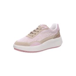 Palpa Sneaker Low in bunt | Gr.: 37