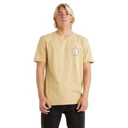 Quiksilver T-Shirt &raquo;Protect Our Playground&laquo; Taos Taupe M M Material: BaumwollStoff [160 g/m2]